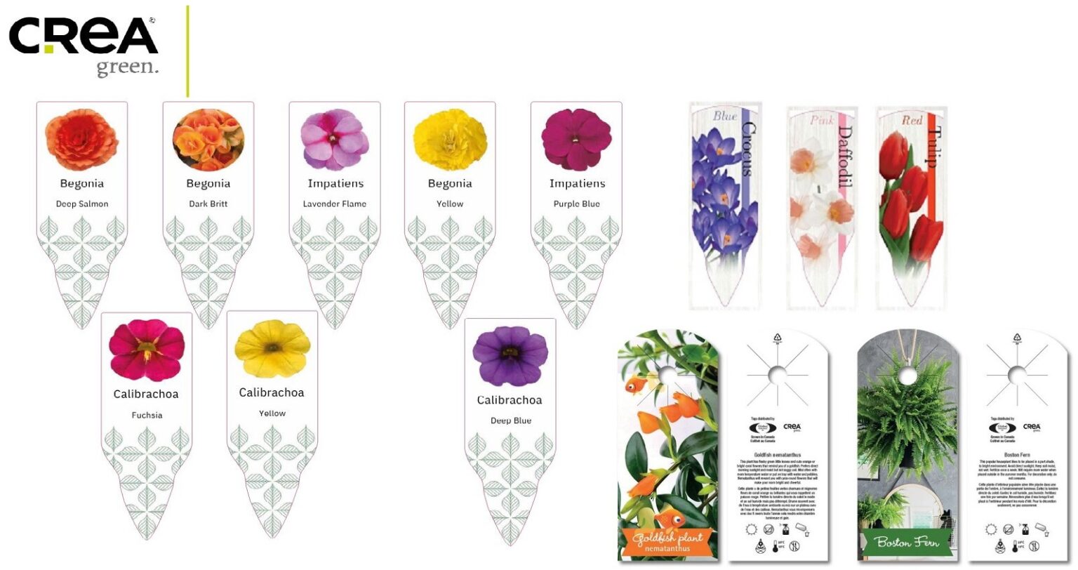 Plant Care Tags - Global Horticultural